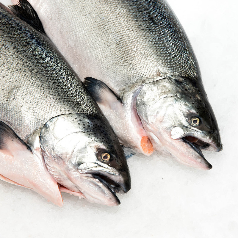 Our Seafood - Profish