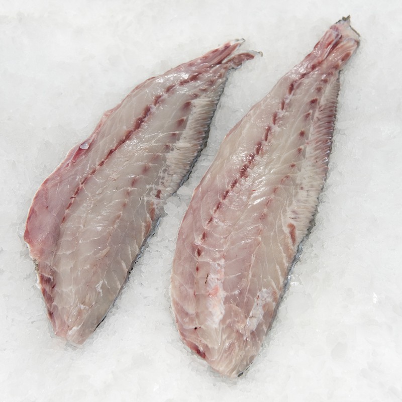 Meagre, Fillet Fresh Skin On Royal Sea Bass | Profish