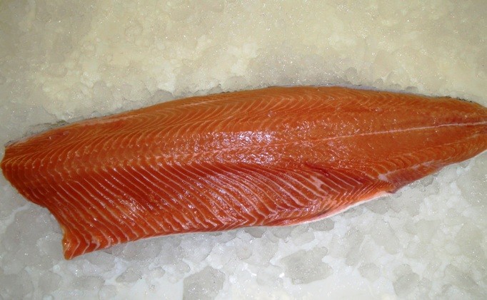 Trout Steelhead Fillet | Profish