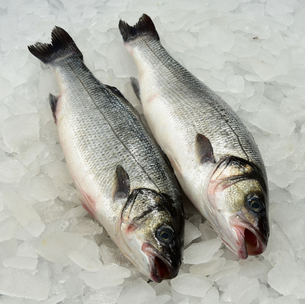 Our Seafood - Profish