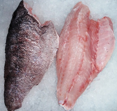 Our Seafood - Profish